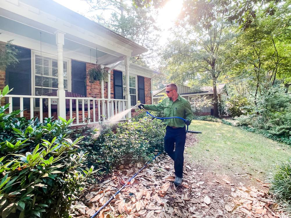 Pest Control Charlotte, NC | Pest Exterminators Near Me | Noosa Pest ...